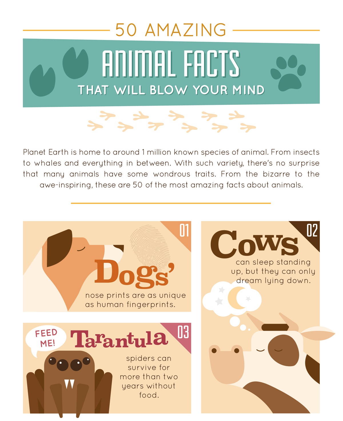 50 Amazing Animal Facts That Will Blow Your Mind Venngage Infographic 50 Amazing Animal Facts That Will Blow Your Mind Venngage Infographic